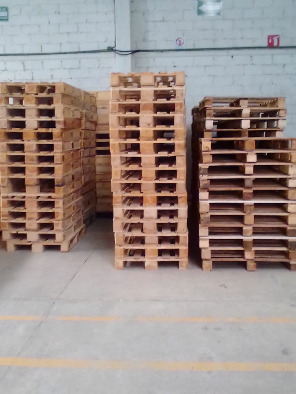 Tarimas y embalajes | ETR México